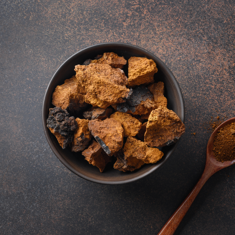 Benefits of Chaga - Why We Use It In Kaizen Coffee