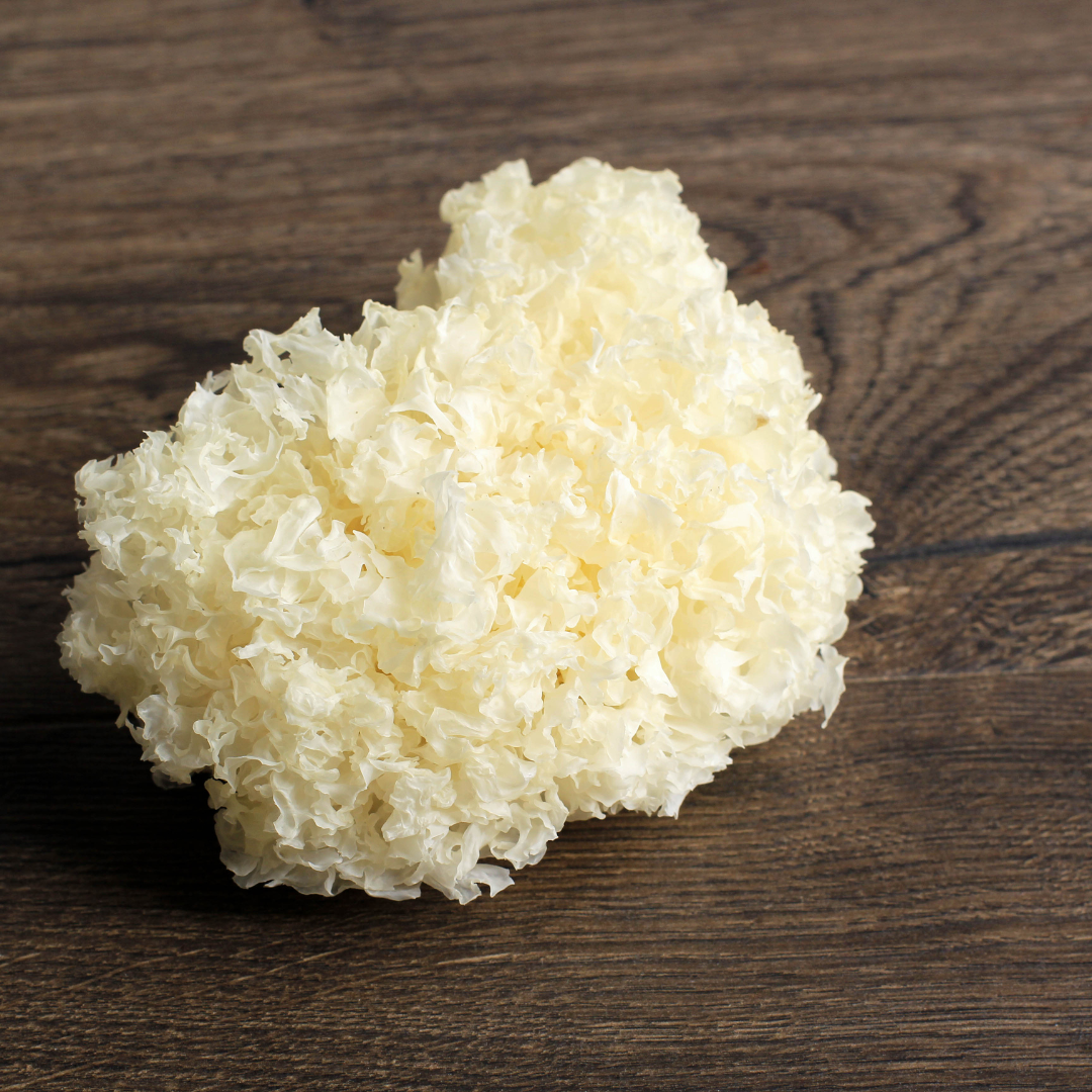 Benefits of Tremella - Why We Use It In Kaizen Coffee